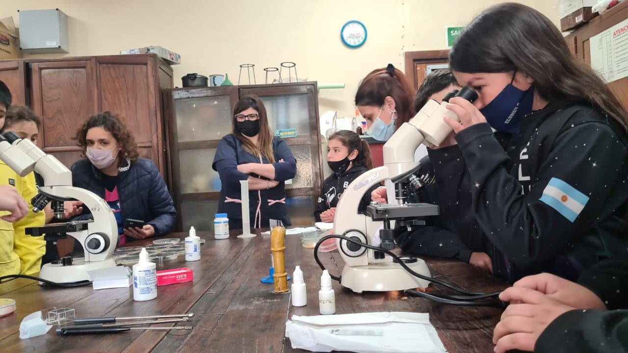 Ciencia en la escuela: Exactas brinda educación científica a ...